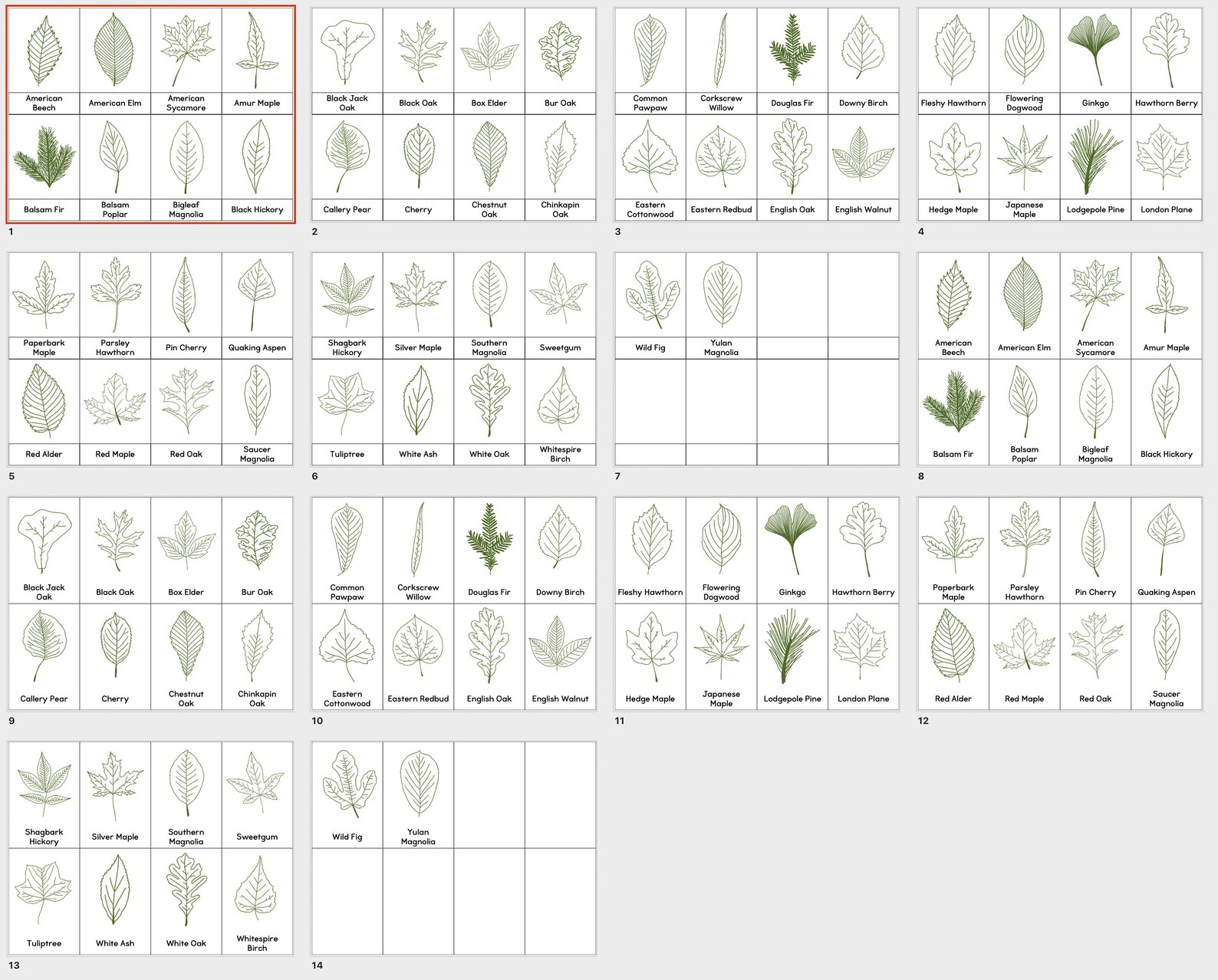 Leaf Foliage Cards Montessori Materials Printable Three Part | Etsy