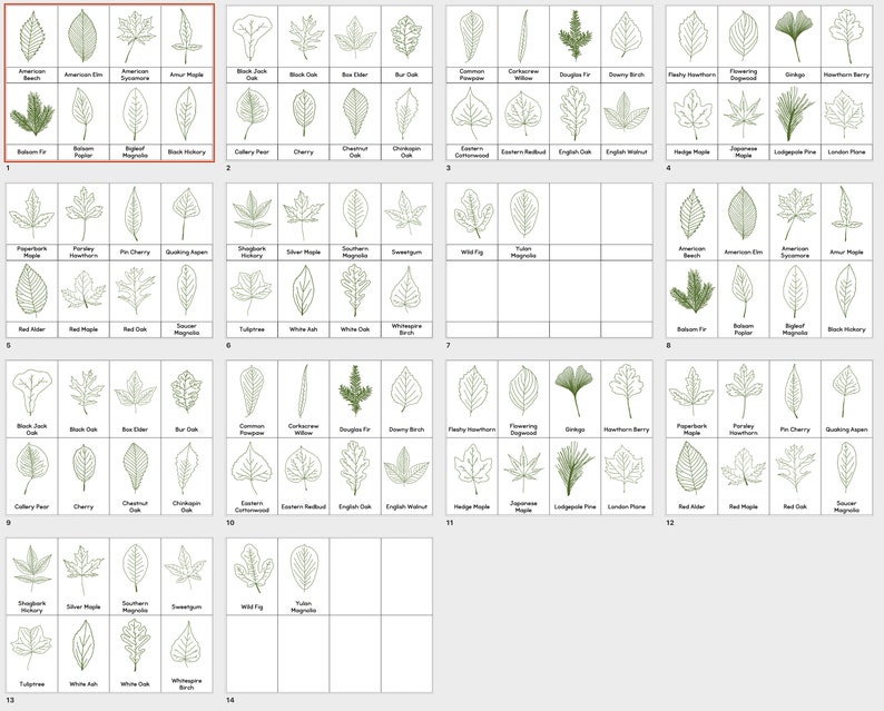 Leaf Foliage Cards Montessori Materials Printable Three Part - Etsy