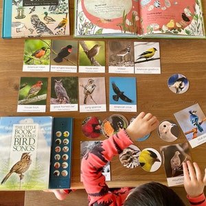 Backyard Birds Cards, Birds Matching Flashcards, Montessori Materials ...