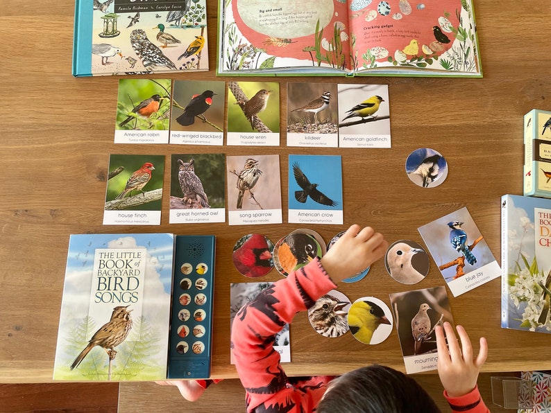 Backyard Birds Cards Birds Matching Flashcards Montessori - Etsy