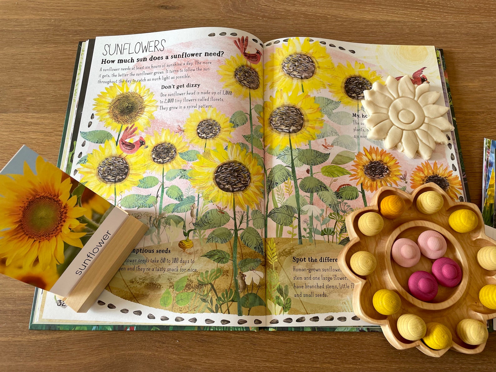 Flowers A-Z Alphabet Flashcards: Montessori Printable (PDF) - Etsy