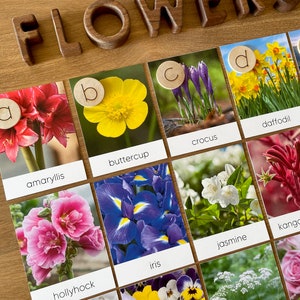 Flowers A-Z Alphabet Flashcards: Montessori Printable (PDF) - Etsy