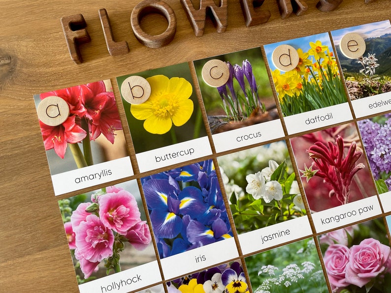 Flowers A-Z Alphabet Flashcards Montessori Materials - Etsy