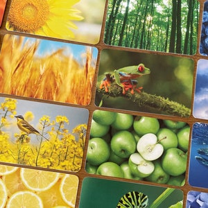 Color Matching Cards: Nature Photos, Montessori Learning (printable PDF ...