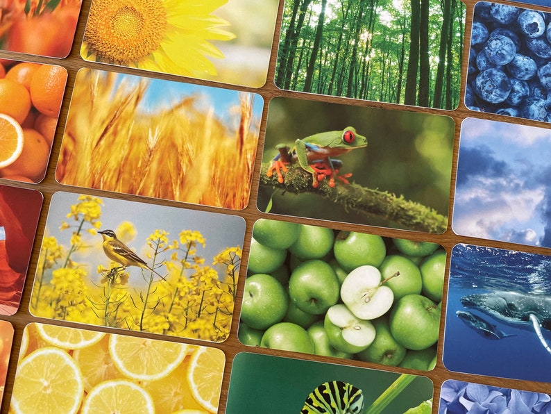 Color Matching Cards: Nature Photos, Montessori Learning (printable PDF ...