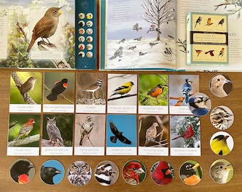 Butterfly Matching Cards, Montessori Materials Printable, Toddler ...