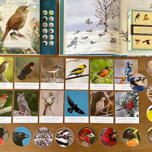 Backyard Birds Cards Birds Matching Flashcards Montessori - Etsy