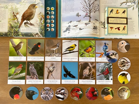 Backyard Birds Cards Birds Matching Flashcards Montessori | Etsy