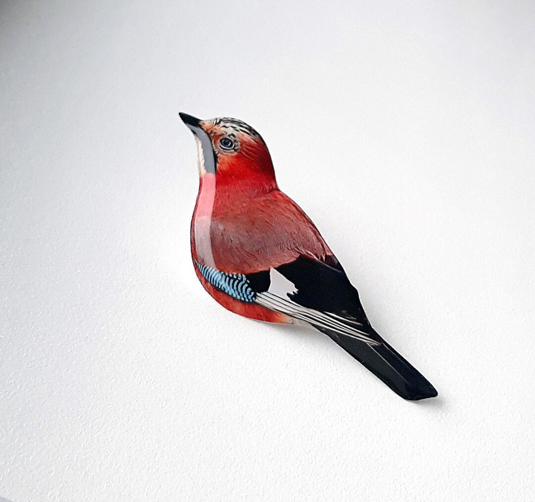JAY BIRD Crystal Resin BROOCH, Jay Pin, Original Polygons Designed ...
