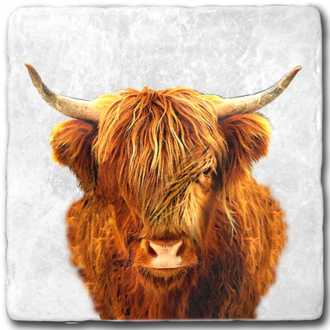 Highland Cow Marble Stone Coaster - Etsy