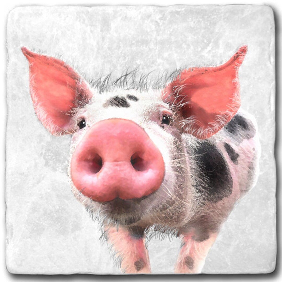 Pig Marble Stone Coaster - Etsy