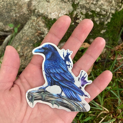 Raven Sticker Crow Sticker for Bird Lovershand-drawn Vinyl - Etsy