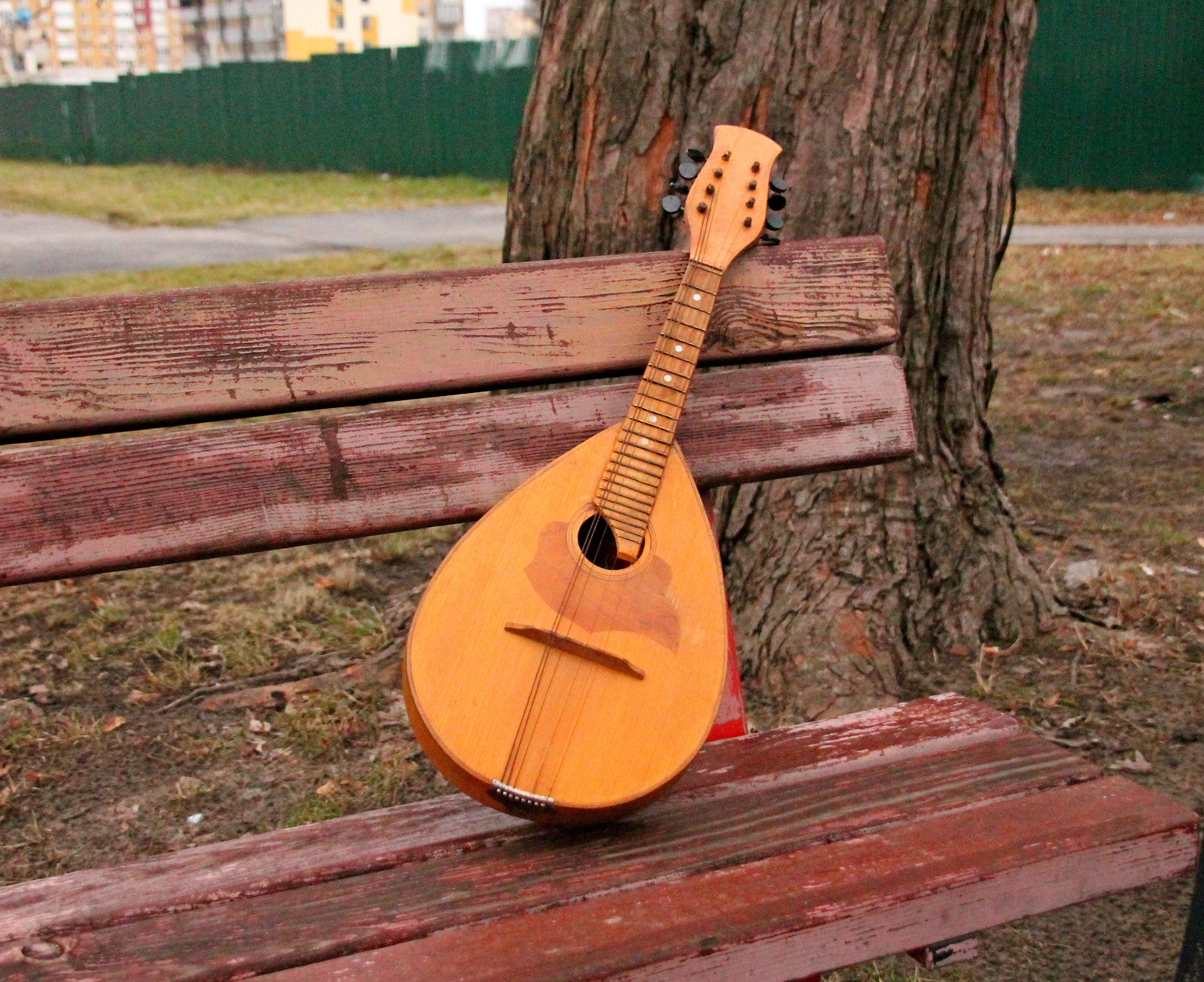 Bowl Back Mandolin for sale | Only 4 left at -70%