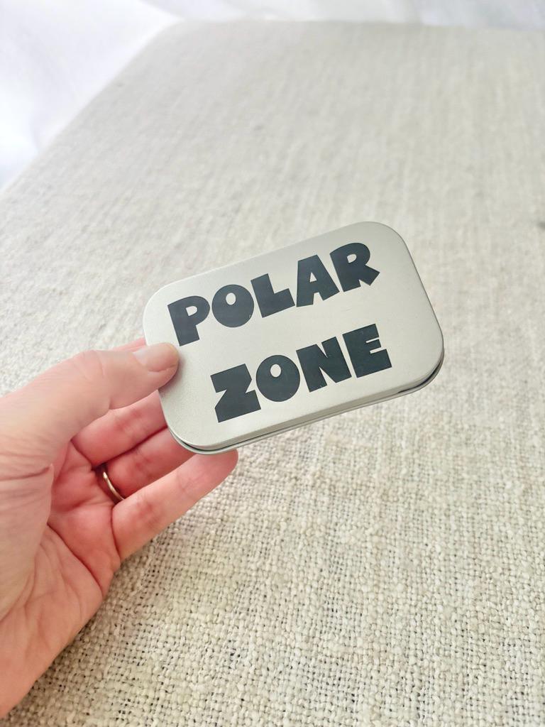 Pocket Pet Polar Zone Polar Bear Playset in A Tin Case, Travel Toy ...