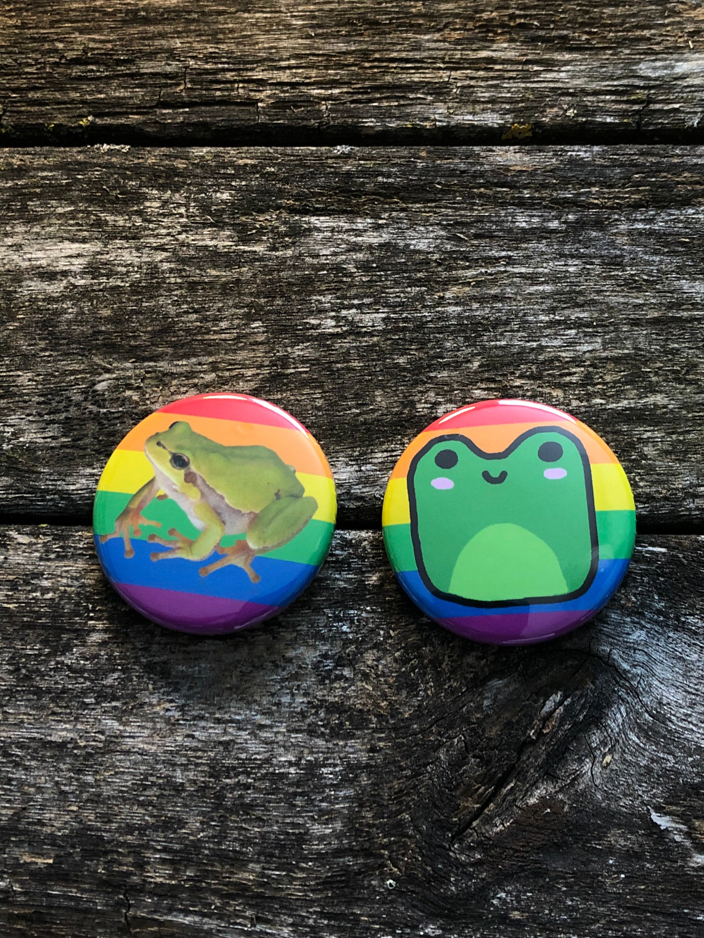 Lgbt Frog Pride Flag Round Pinback Button - Etsy UK