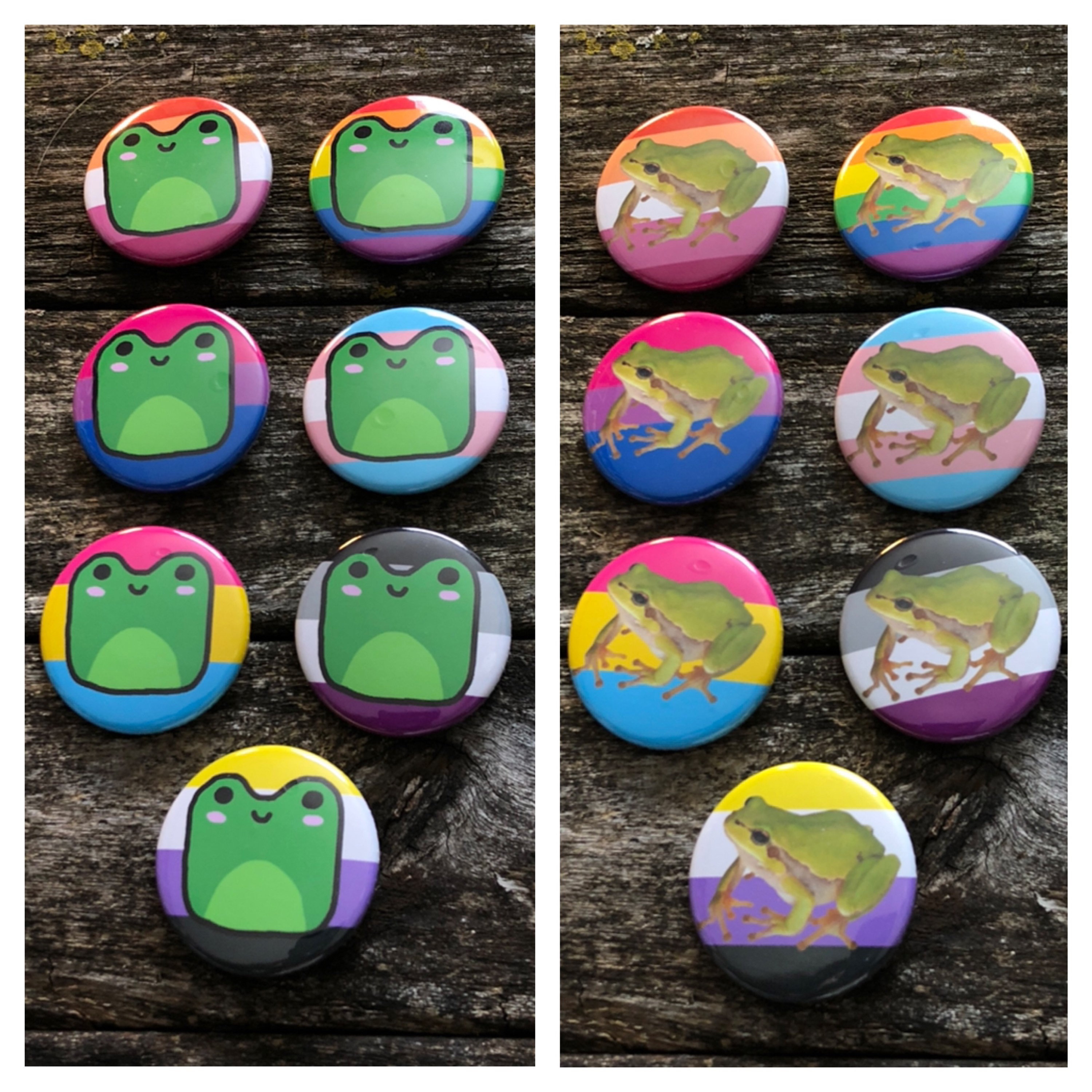 Lgbt Frog Pride Flag Round Pinback Button - Etsy Australia