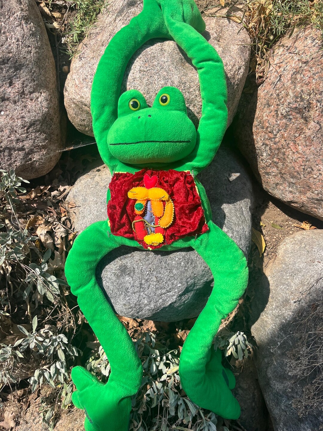 Frog Dissection Plush Wall Decor - Etsy