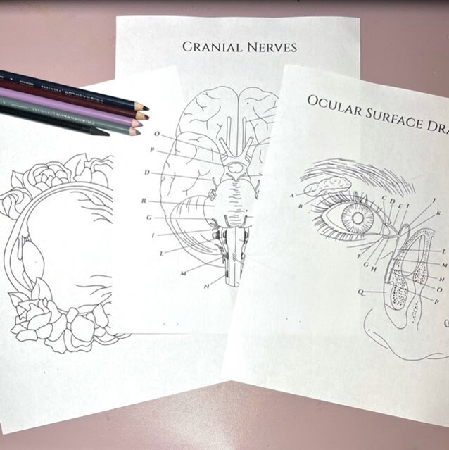 Ocular Anatomy Coloring Pages