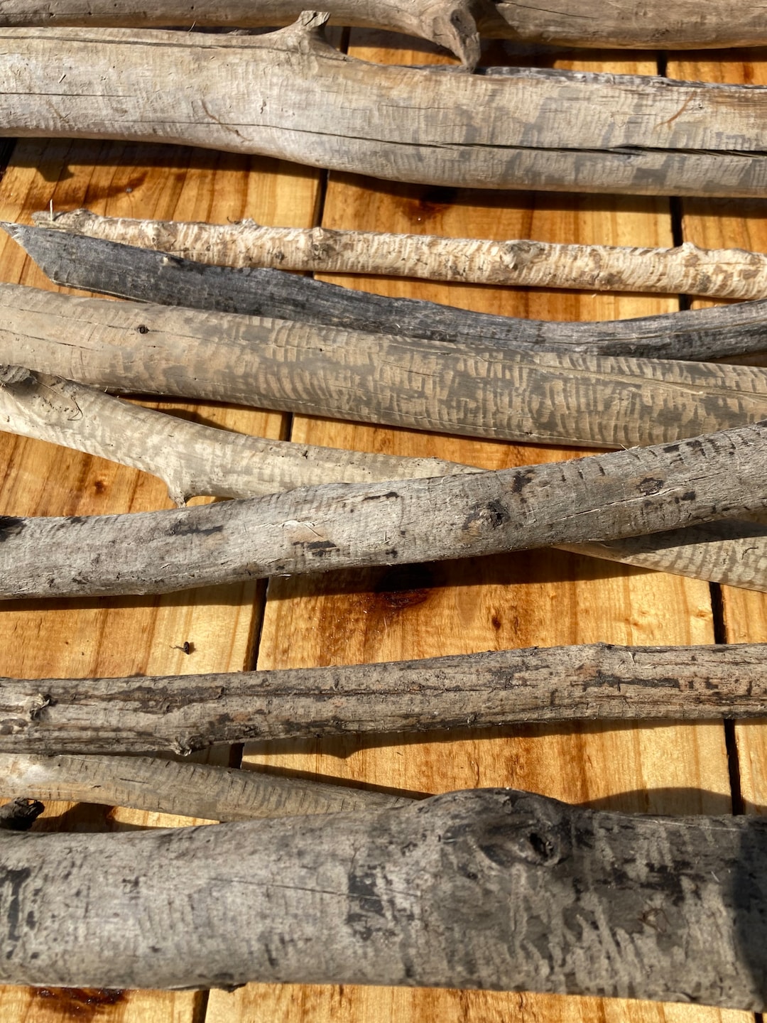BEAVER STICKS - Etsy