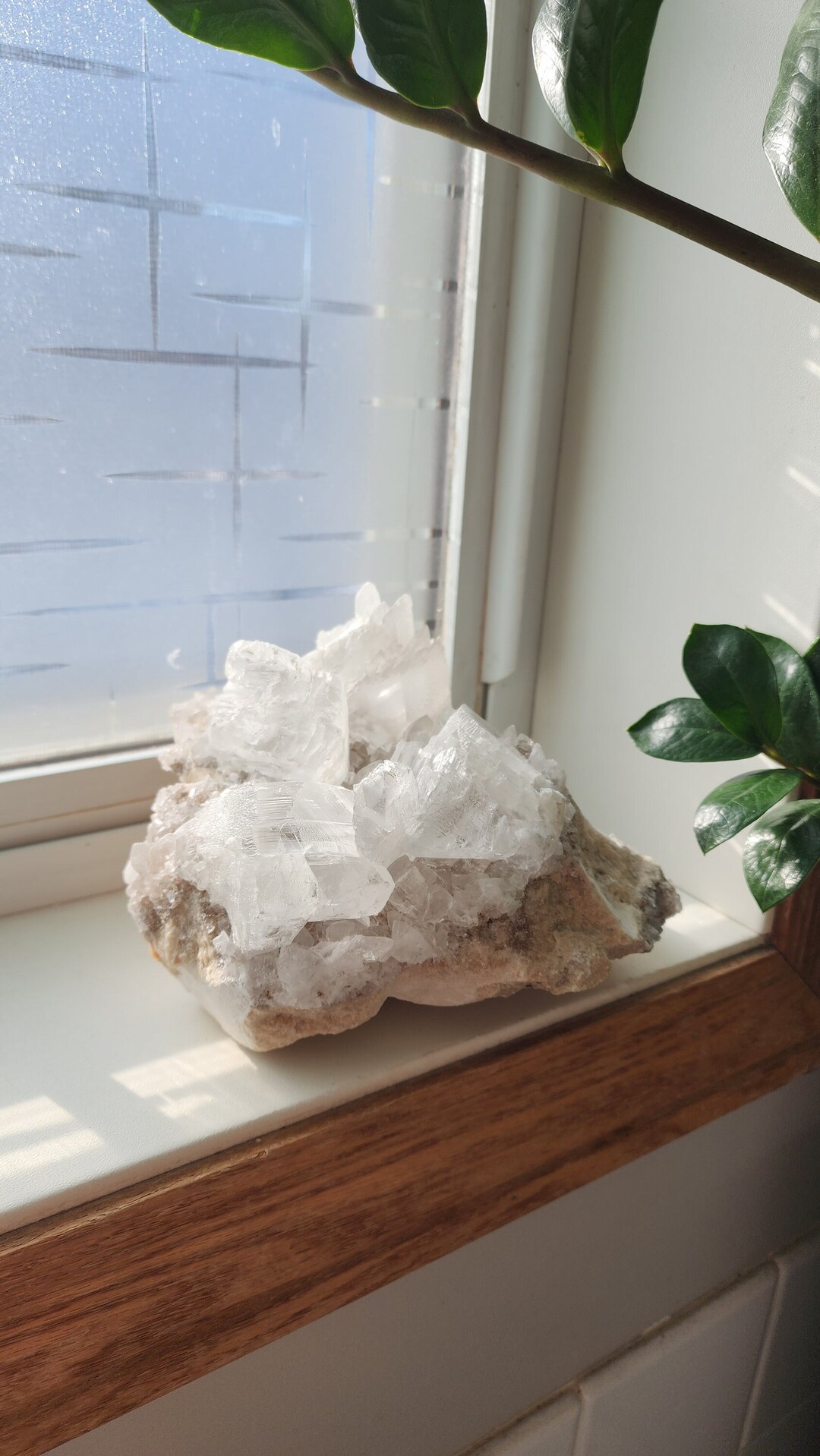 Fish Tail Selenite Cluster - Etsy