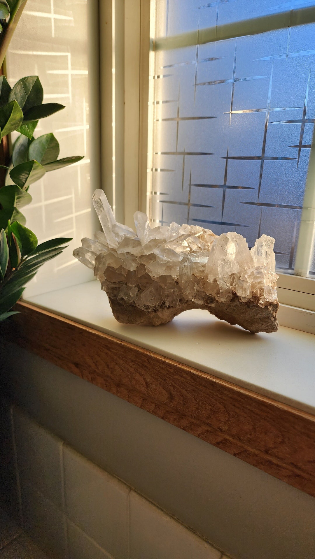 Large Fishtail Selenite Cluster - Etsy
