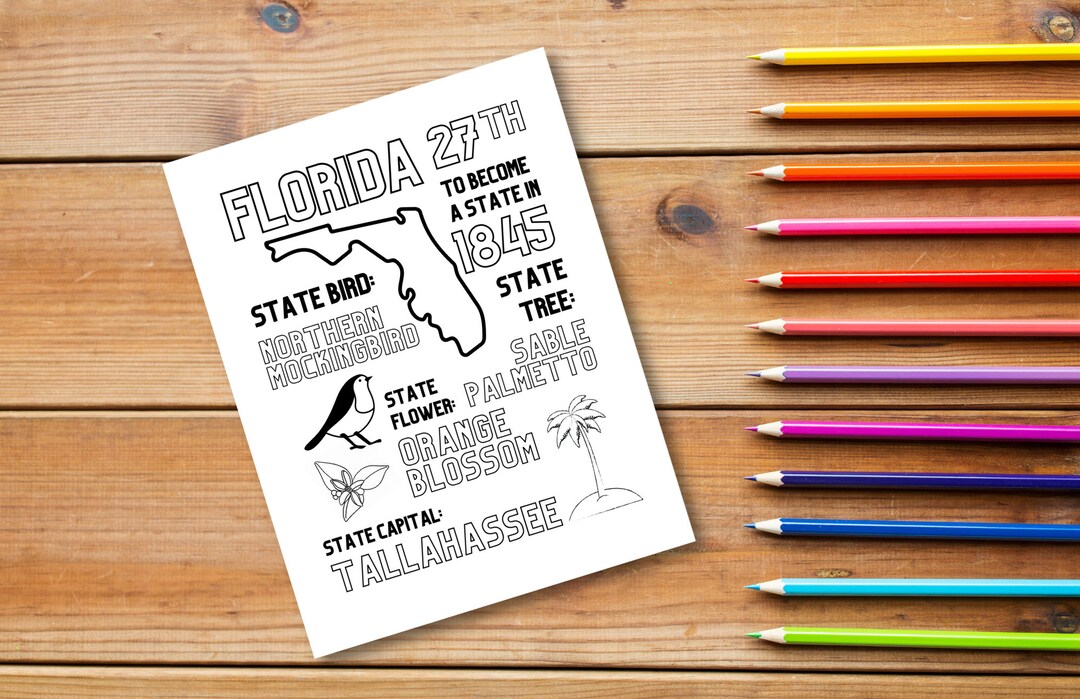 Florida Coloring Page - Etsy