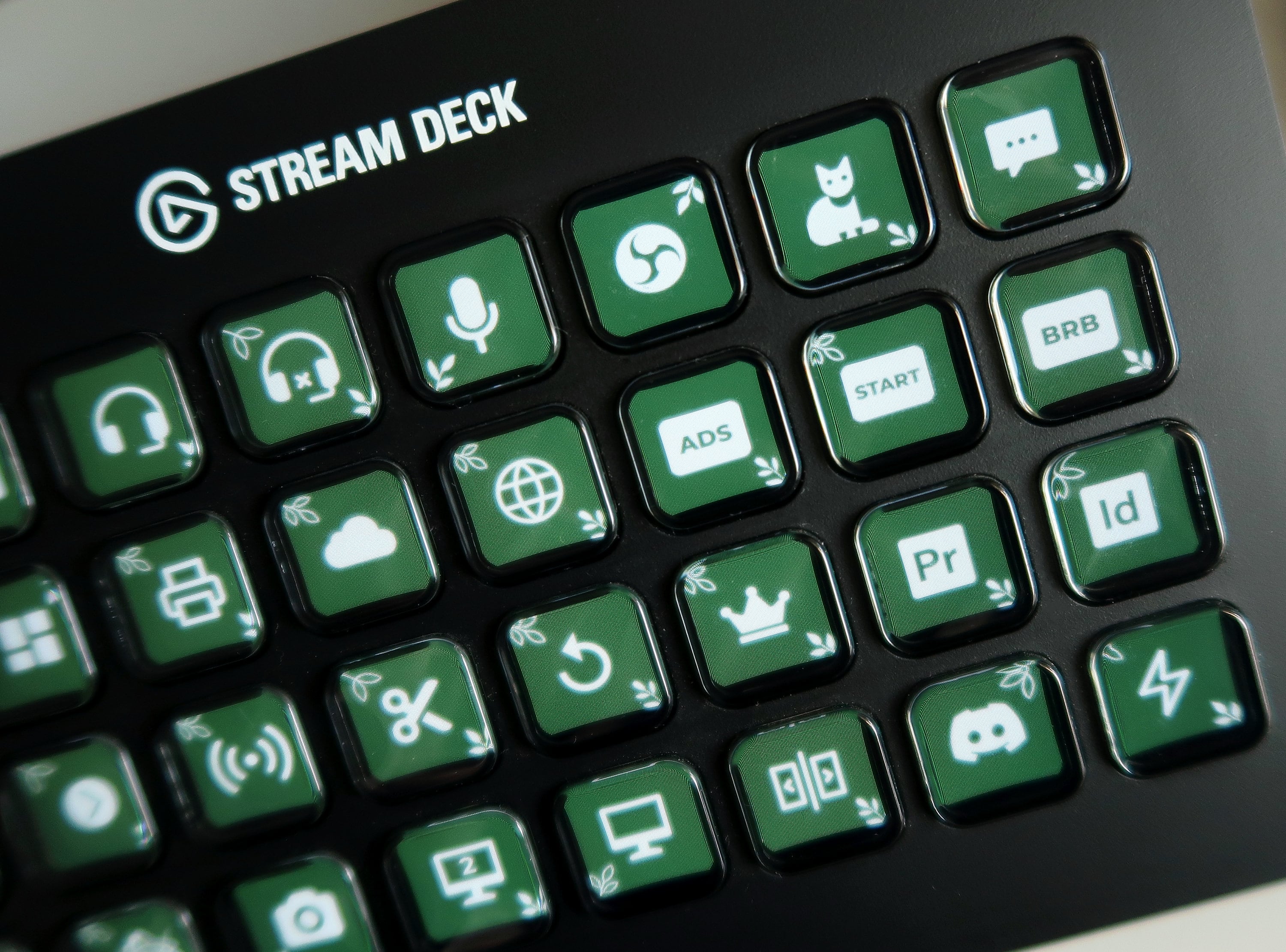 Nature Green Stream Deck Icons: Cozy Plants, Leaf Design (640 PNG) - Etsy