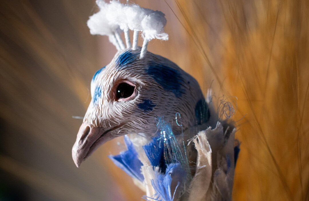 Peacock Artdoll, Posable Bird Doll - Etsy