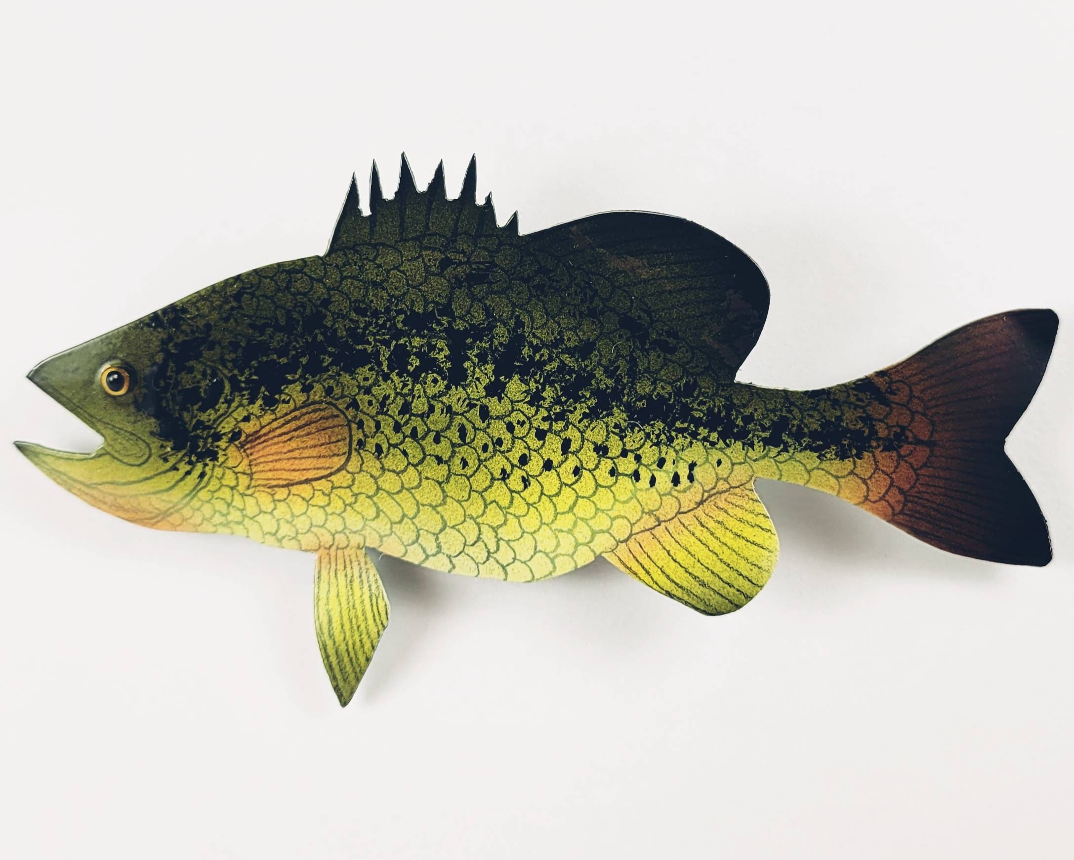 Large Mouth Bass Fish Wall Decor, Fishing Gifts for Men, Rustic Cabin ...