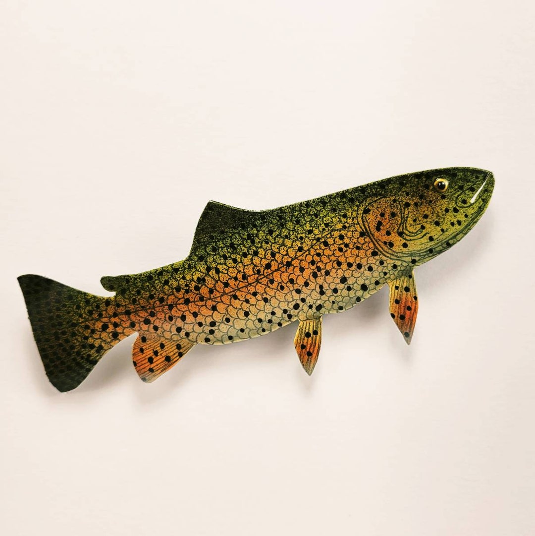 Rainbow Trout Art, Fishermen Wall Decor, Fishing Gifts for Brother ...