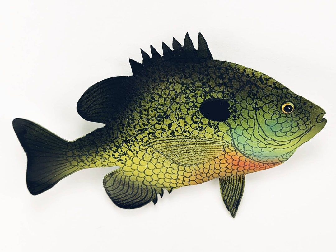 Bluegill Fish Wall Decor,fishing Gifts for Dad From Daughter, Fisherman ...