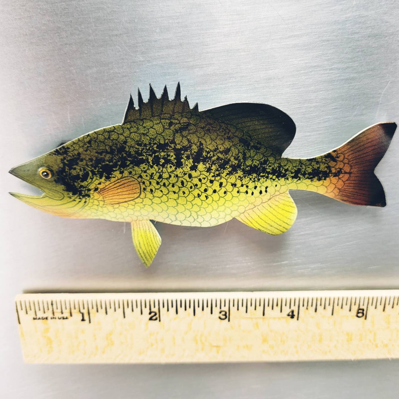 Large Mouth Bass Fish Wall Decor, Fishing Gifts for Men, Rustic Cabin ...