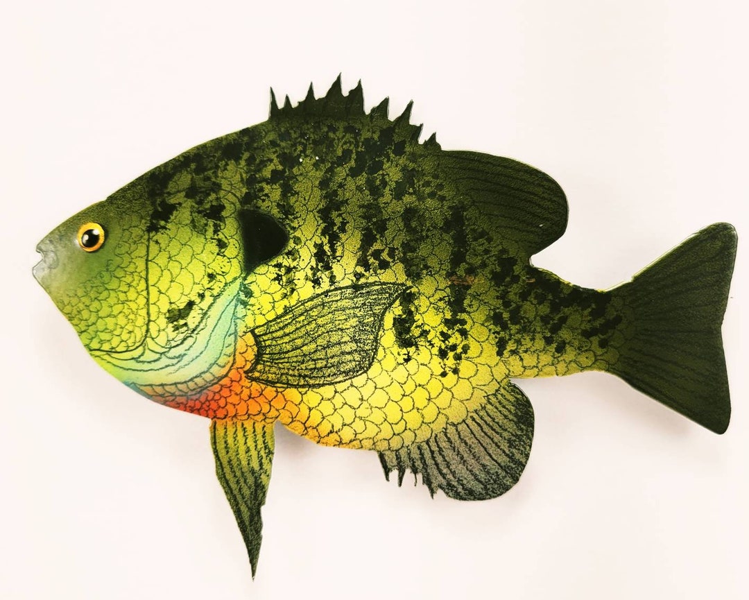 Bluegill Fish Wall Decor,fishing Gifts for Dad From Daughter, Fisherman ...