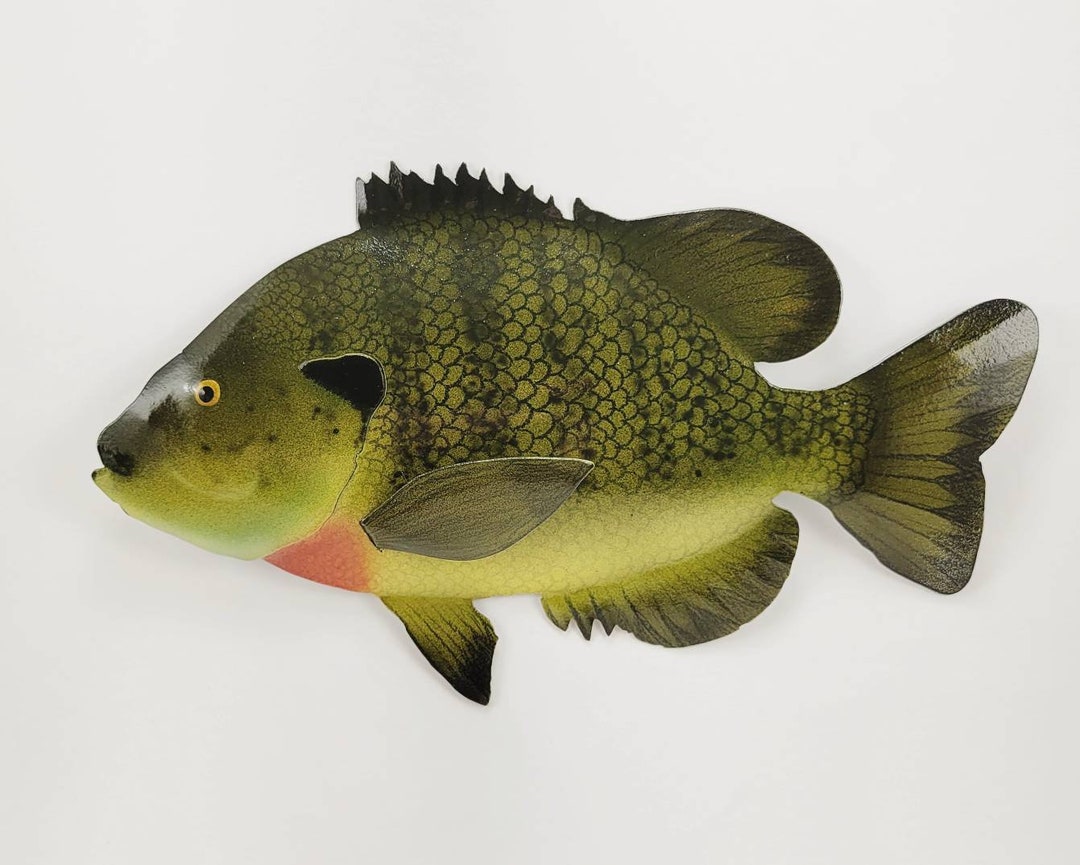 Bluegill Fish Wall Decor,fishing Gifts for Dad From Daughter, Fisherman ...