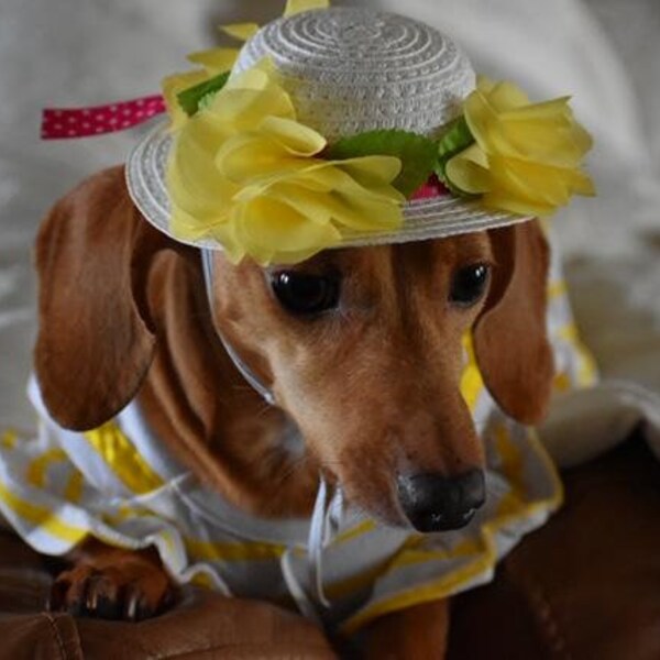 Dog Easter Bonnet - Etsy