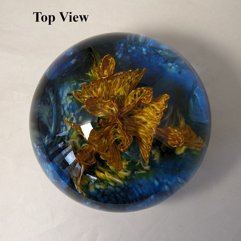 Glass Paperweight - Etsy