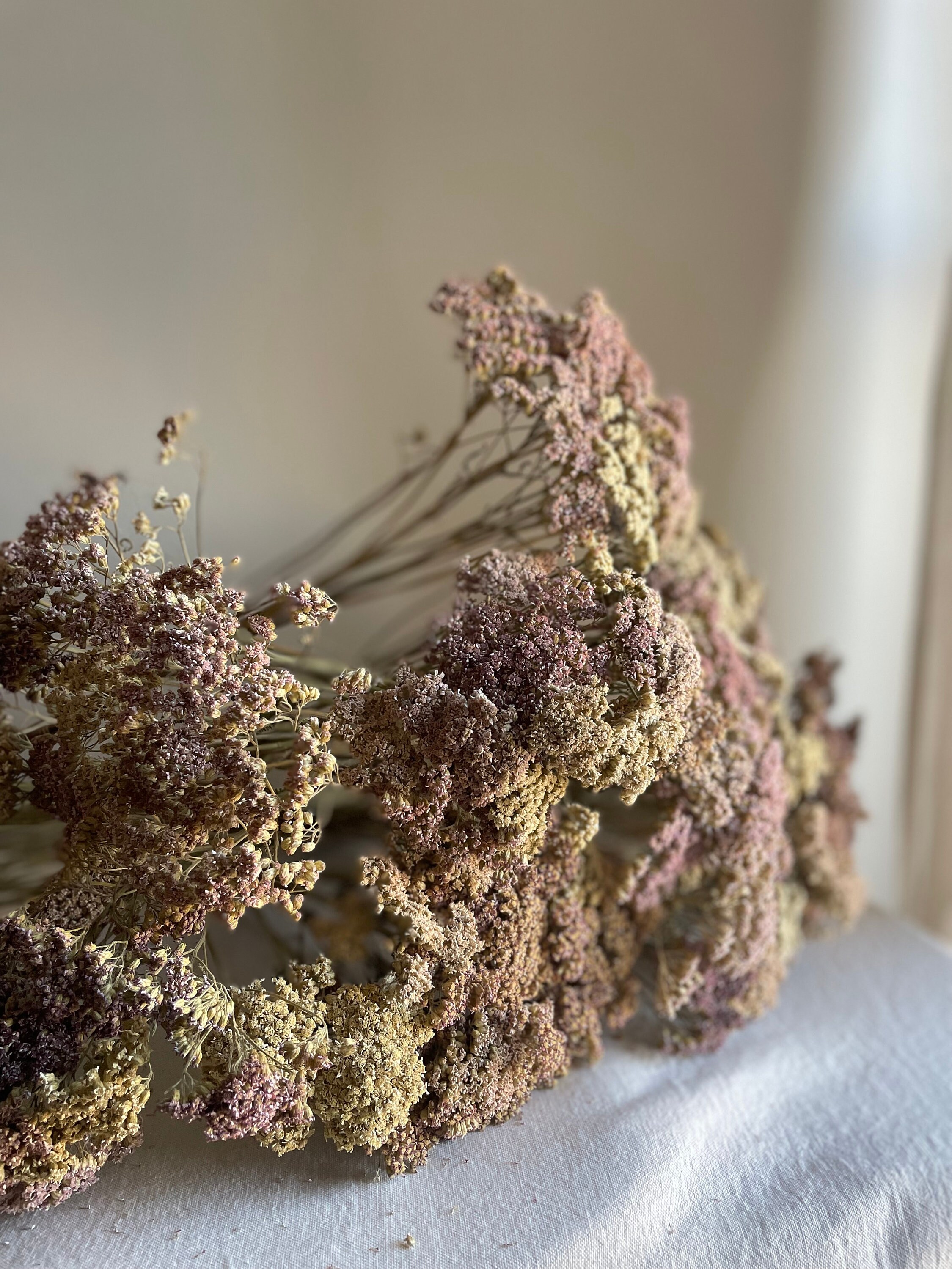 Dried Yarrow Flowers - Etsy