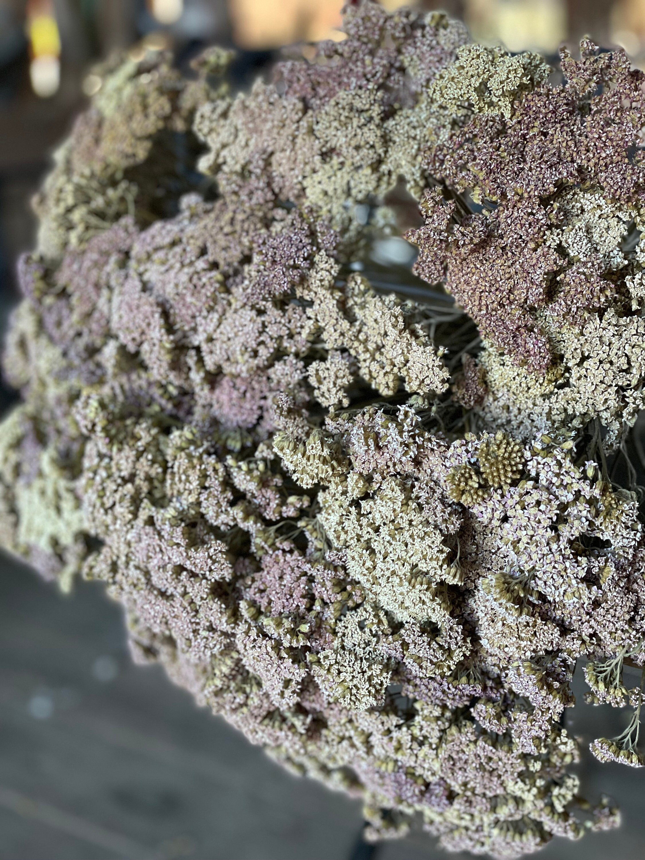 Dried Yarrow Flowers - Etsy