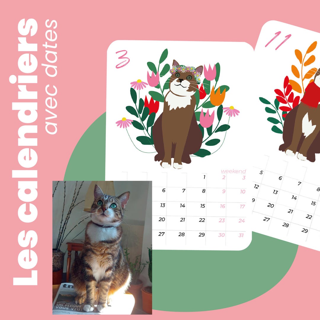 Custom a Calendar With Illustration of YOUR Pet Animal - Etsy