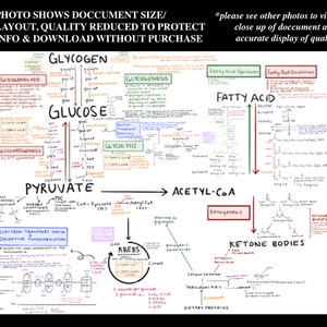 MCAT Comprehensive Biochemistry Metabolic Pathway Study Guide - Etsy