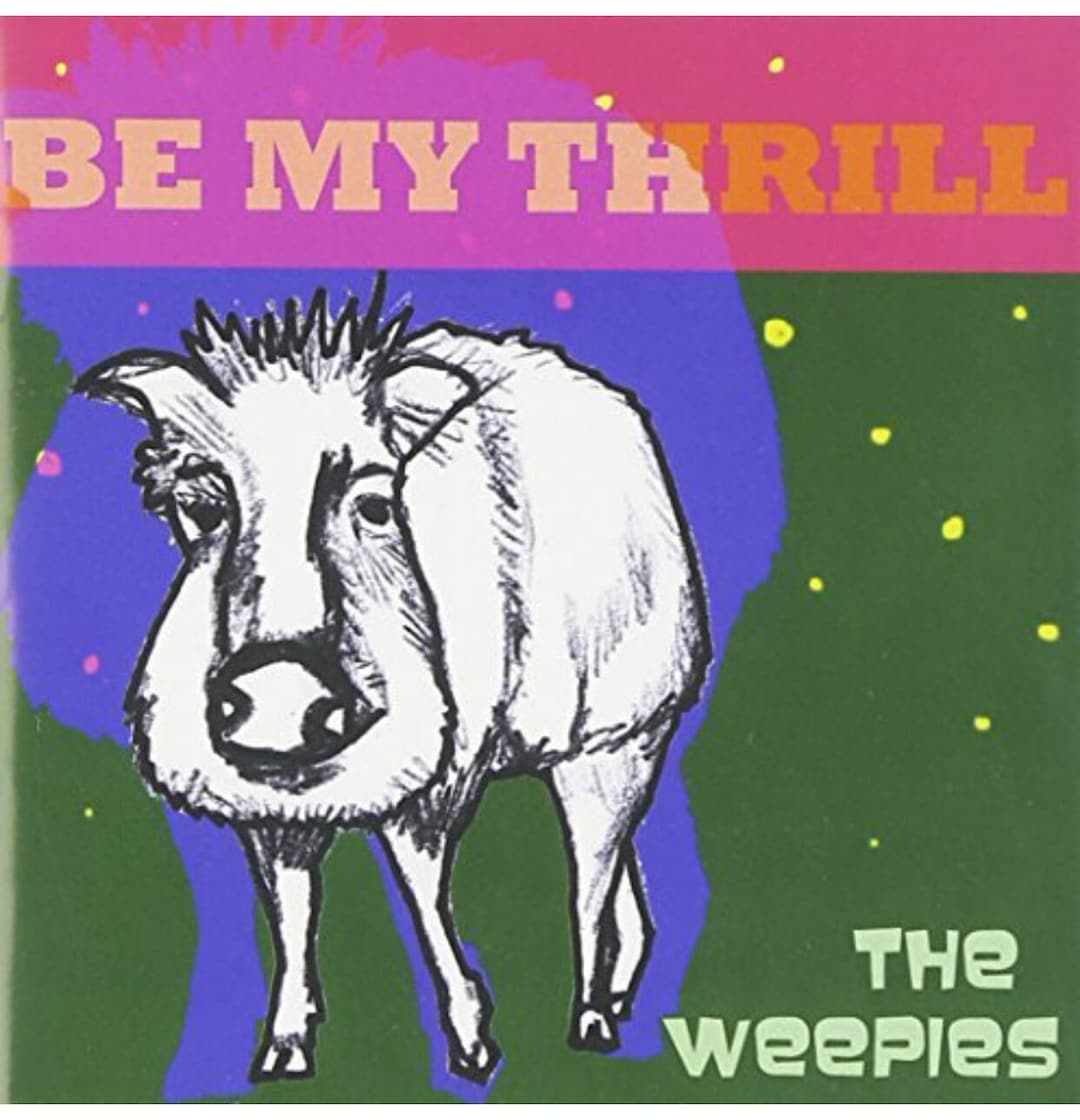 The Weepies Be My Thrill CD - Etsy
