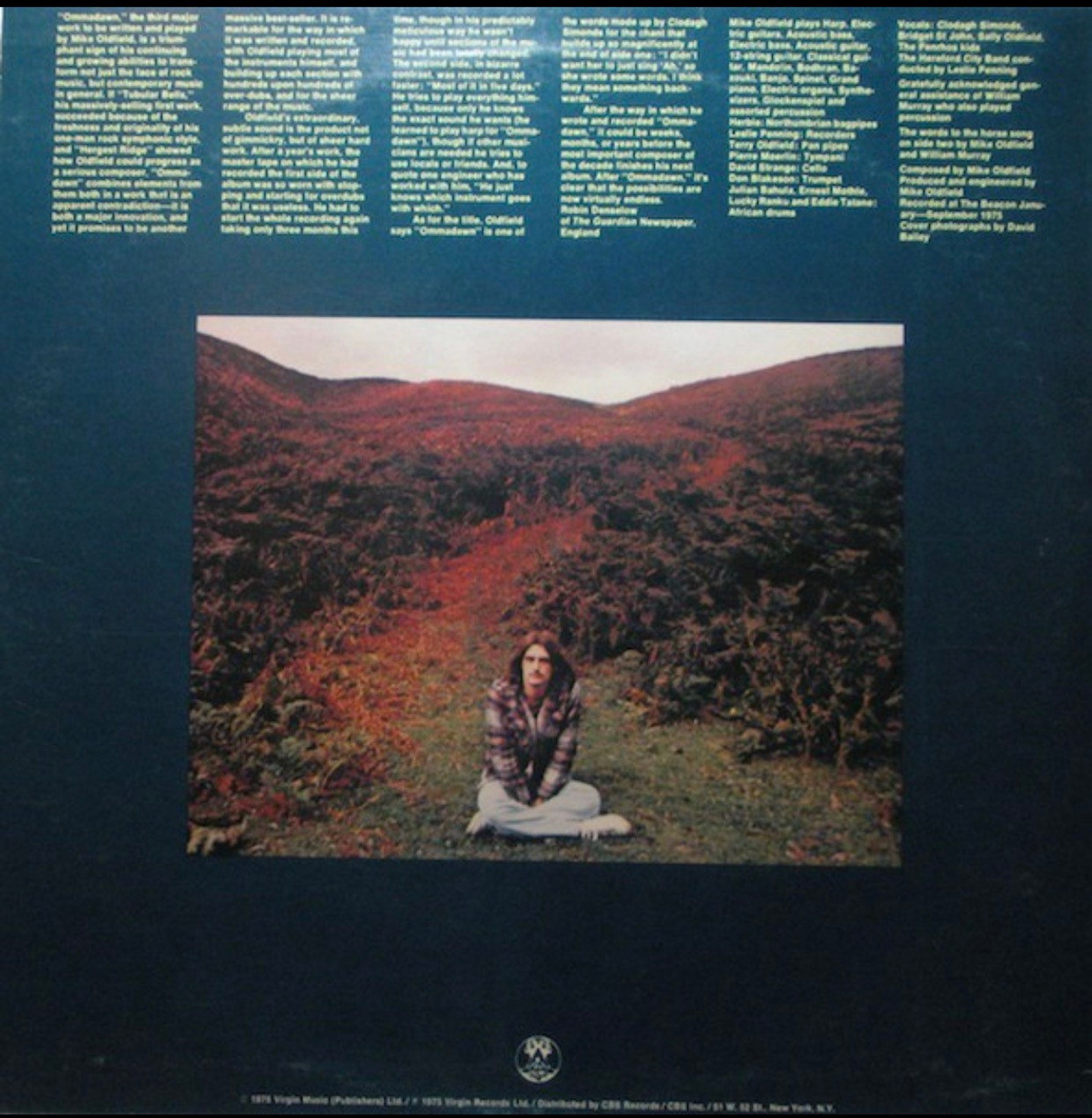 Mike Oldfield Ommadawn LP - Etsy