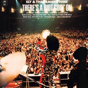 Sly & the Family Stone There’s a Riot Goin’ on LP - Etsy