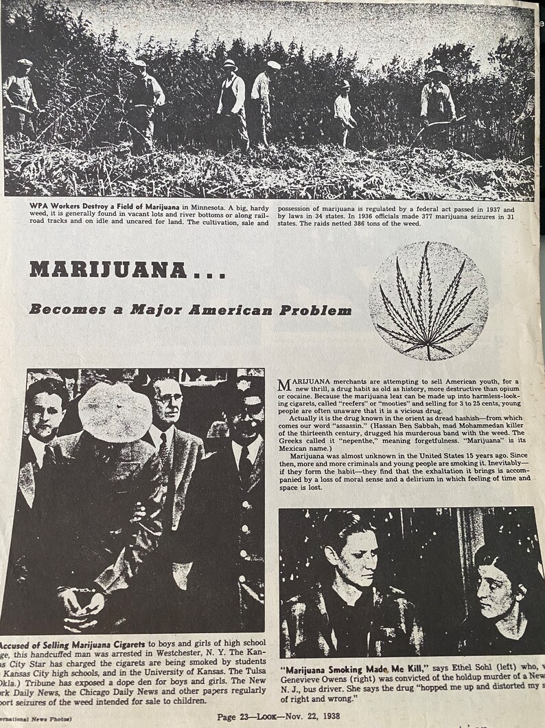 Reefer Madness 1972 Theater Advertisement - Etsy