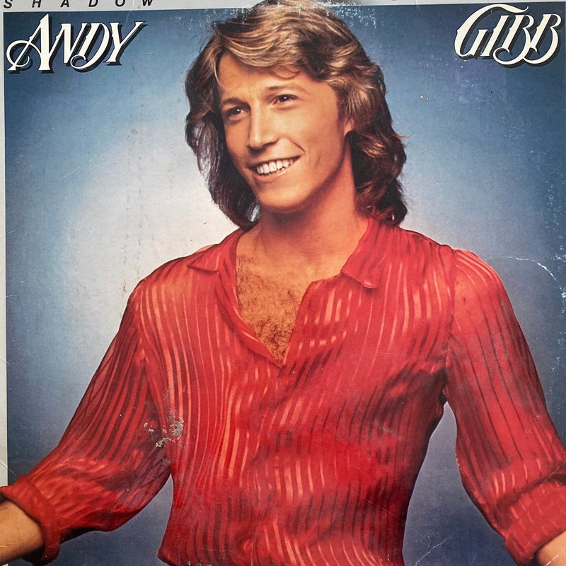 Andy Gibb - Etsy