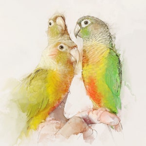 Custom Bird Portrait, Beautiful Pet Artwork, Custom Parrot Canvas ...