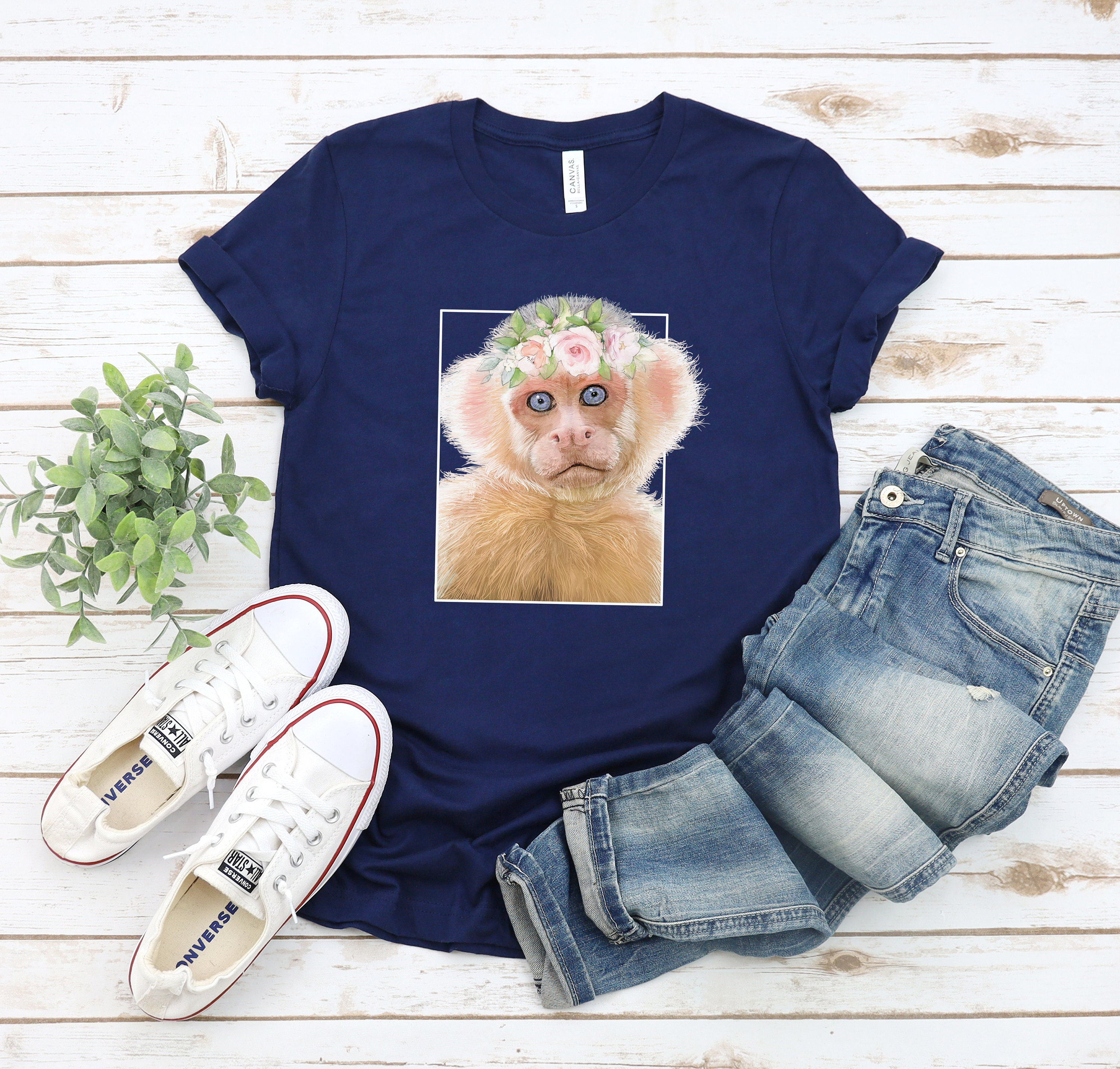Cute Adult Capuchin Monkey