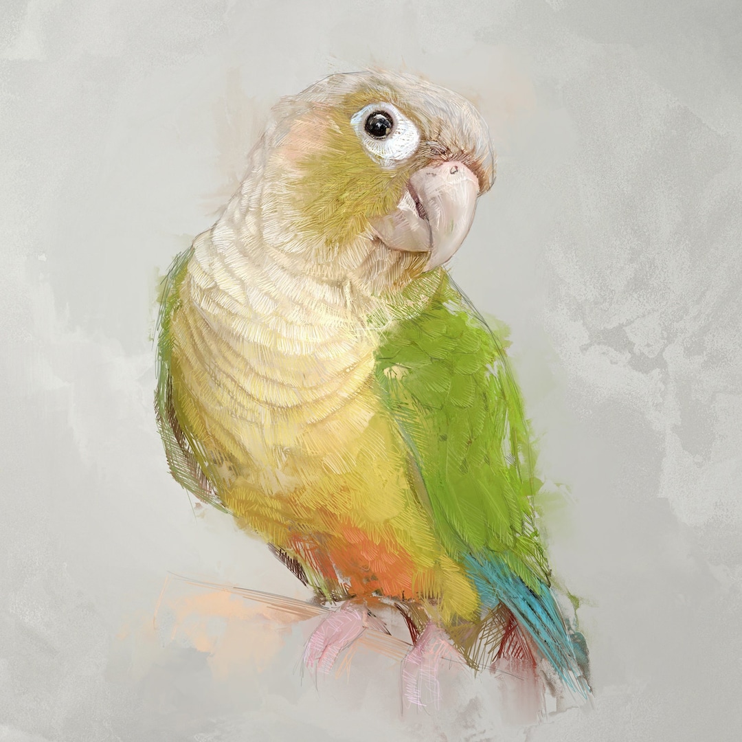 Custom Bird Portrait, Beautiful Pet Artwork, Custom Parrot Canvas ...