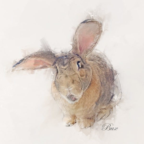 Beautiful Bunny - Etsy