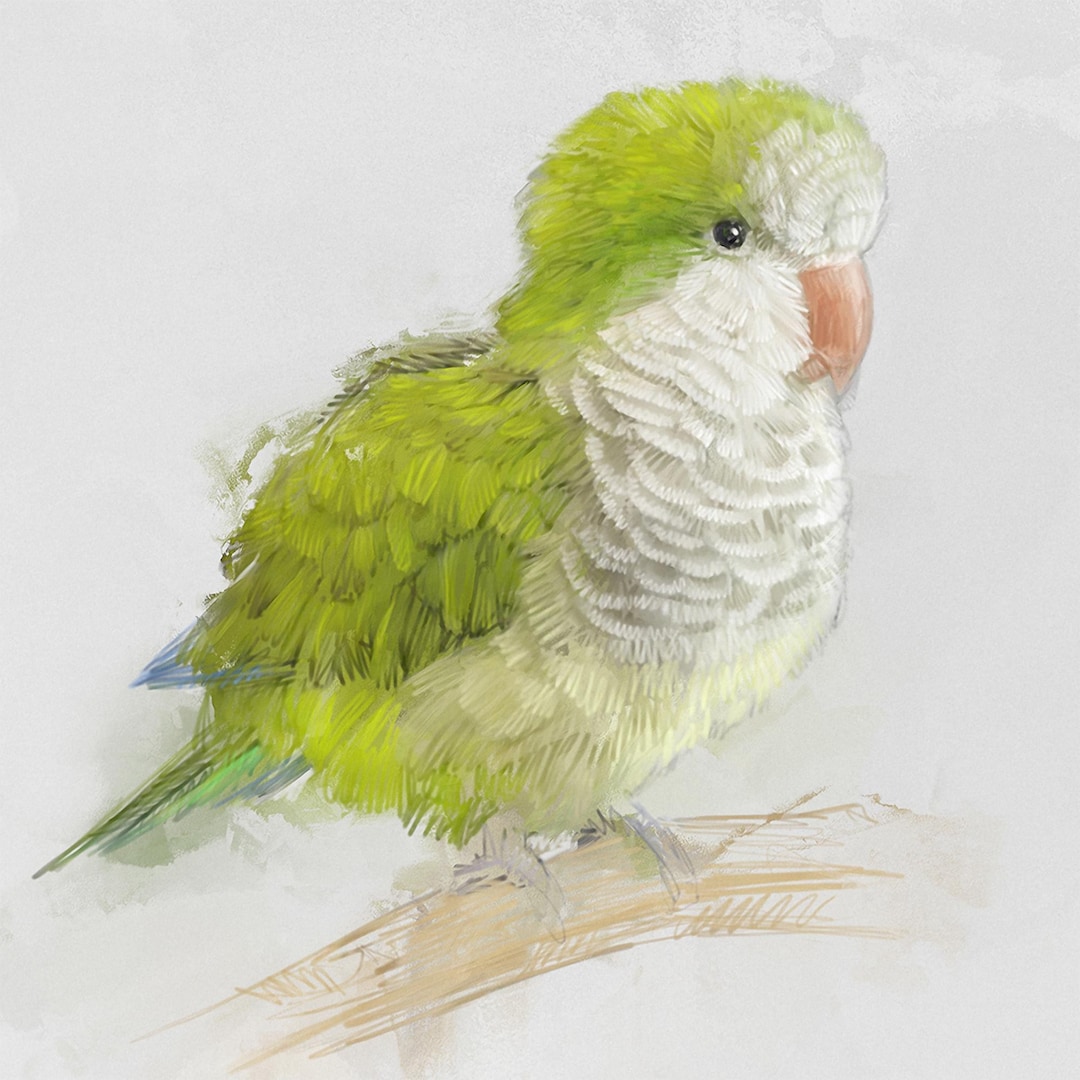 Custom Bird Portrait, Beautiful Pet Artwork, Cute Custom Canvas ...